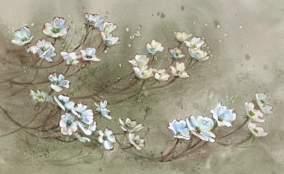 faculty-scheirer — Wayne Art Center